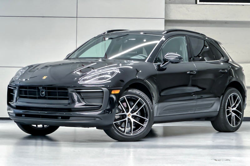 Macan